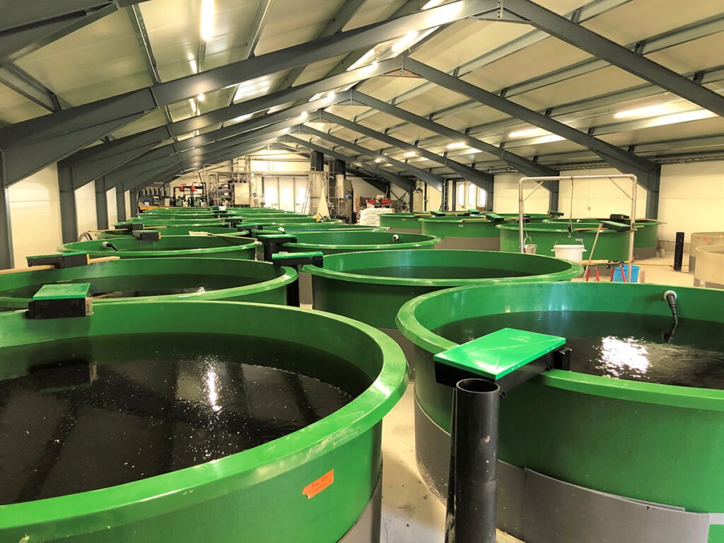 Nordic Fish Group, which operates under the Kalaneuvos brand, expands ...